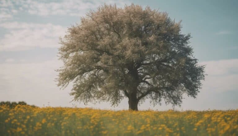 8 Strong Signs Someone Has Quiet Confidence | LoveLingoLab