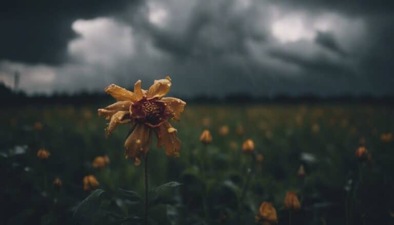 7 Traits Of An Extremely Insecure Partner | LoveLingoLab